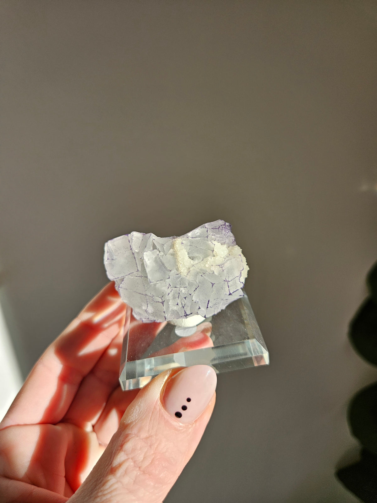 Acrylic Cluster Stand