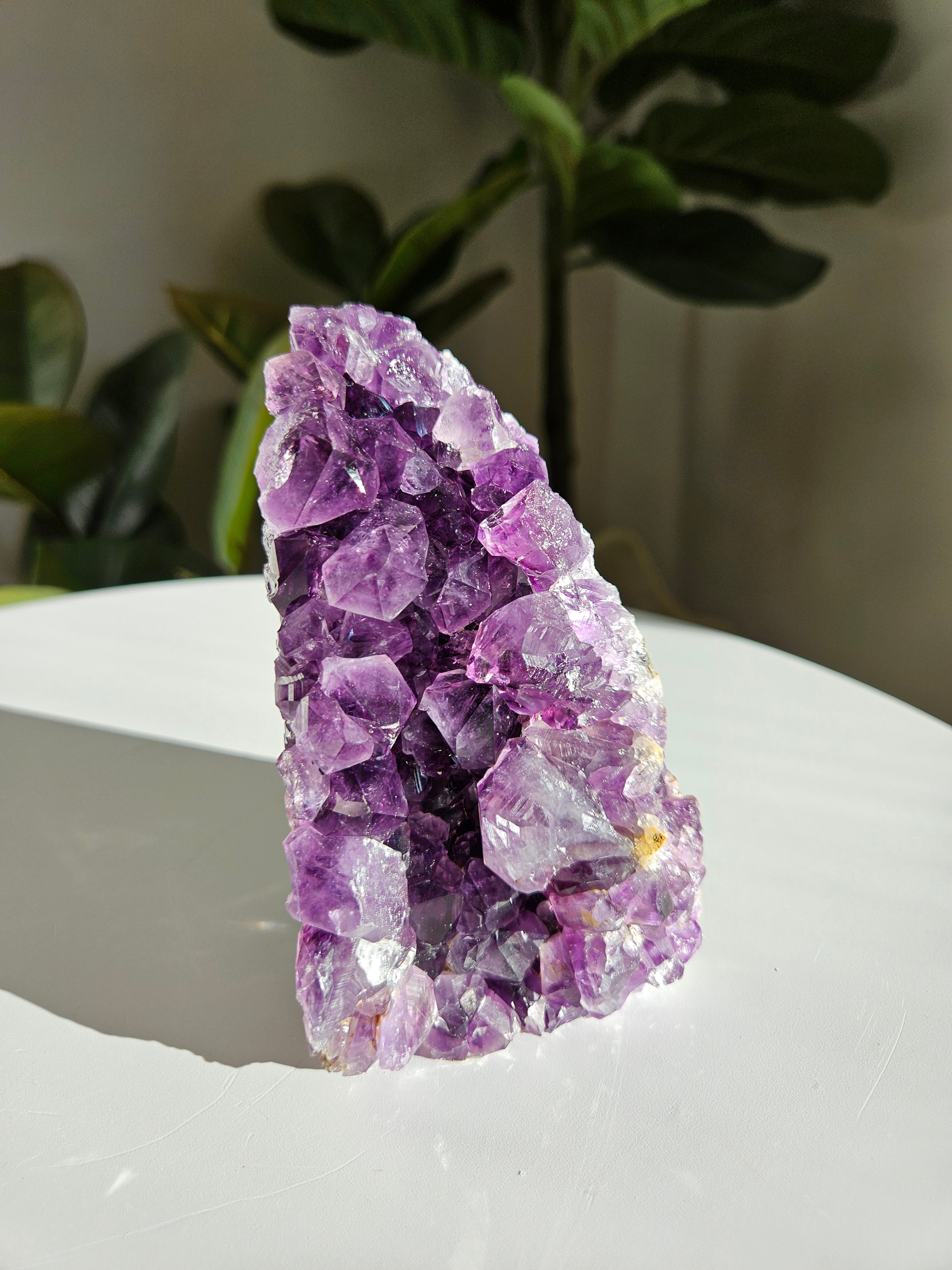 Acrylic Cluster Stand