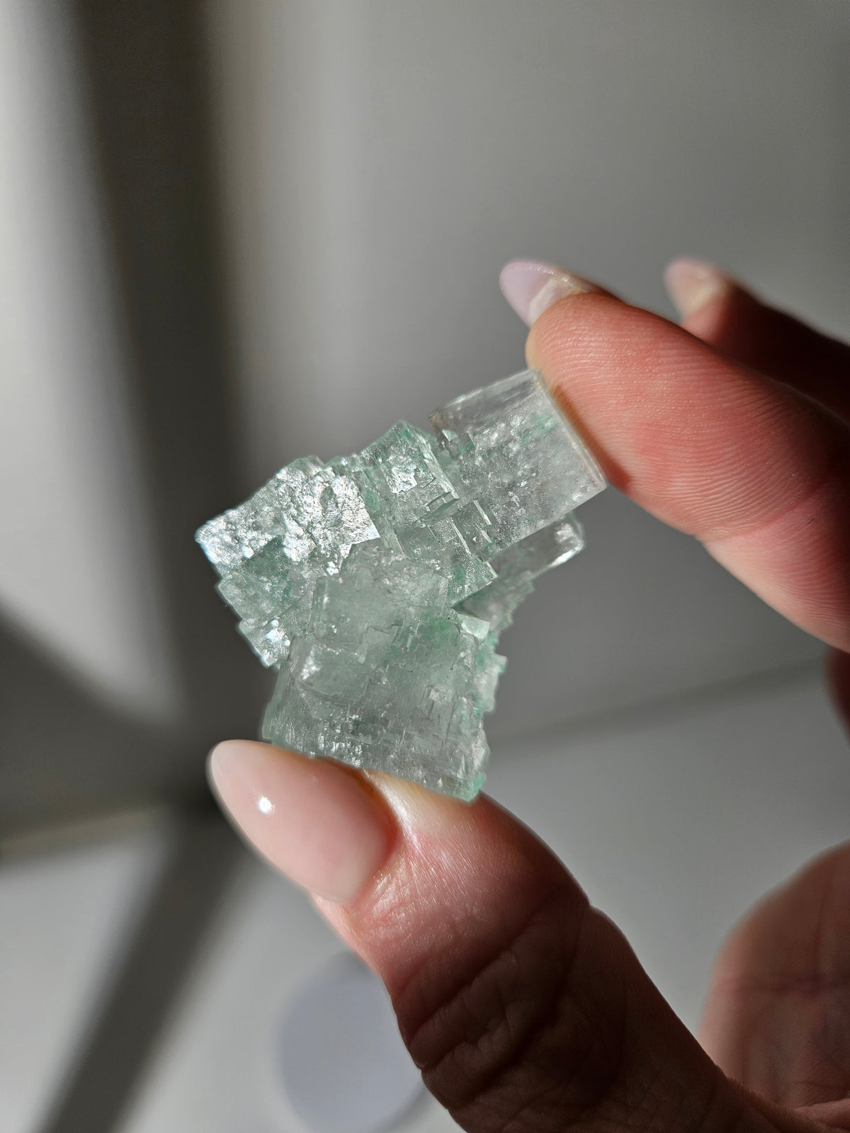 Illuminate Your Vibe